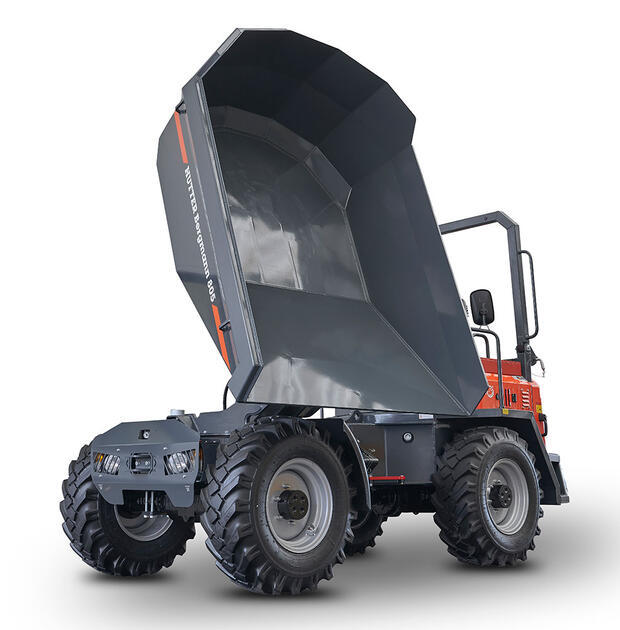 Bergmann Raddumper 805